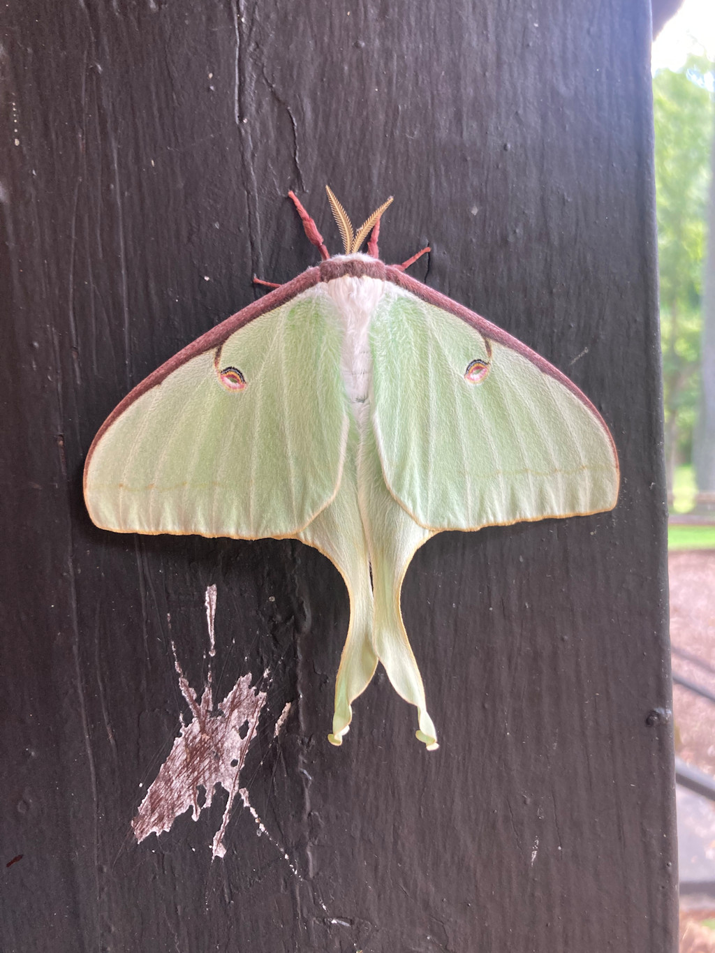 Camp Bennett Christian Ministry Center